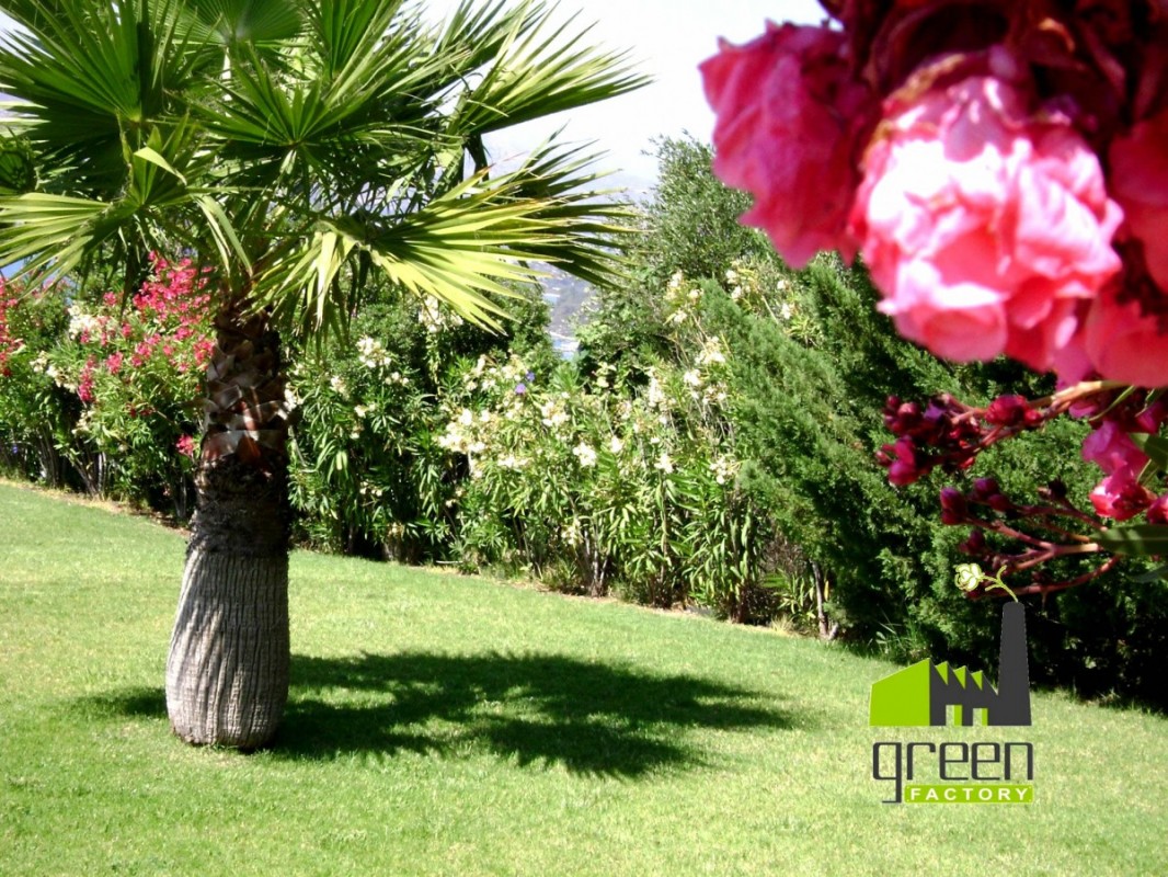 ΚΑΤΑΣΚΕΥΗ ΚΗΠΩΝ ΧΑΝΙΑ GREEN FACTORY - ΦΩΤΟΓΡΑΦΙΕΣ GALLERY